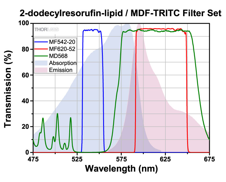 Fluorescence Imaging Filters