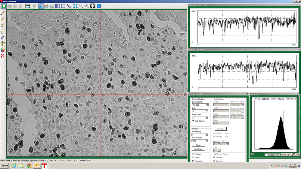 Optical Microscopy Course Educational Kit